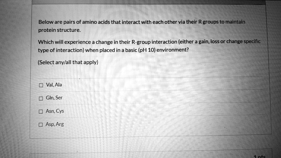 below are pairs of amino acids that interact with each other via their ...