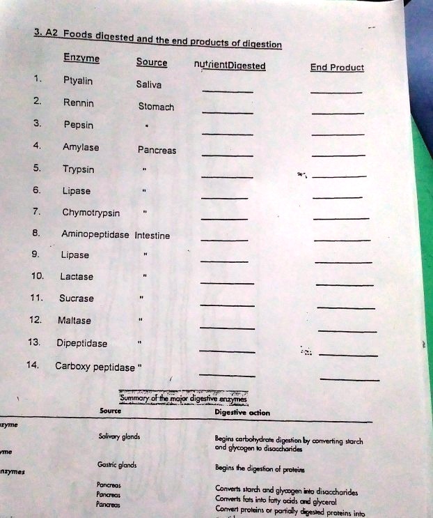 SOLVED: 3. A2 Foods digested and the end products of digestion Enzyme ...