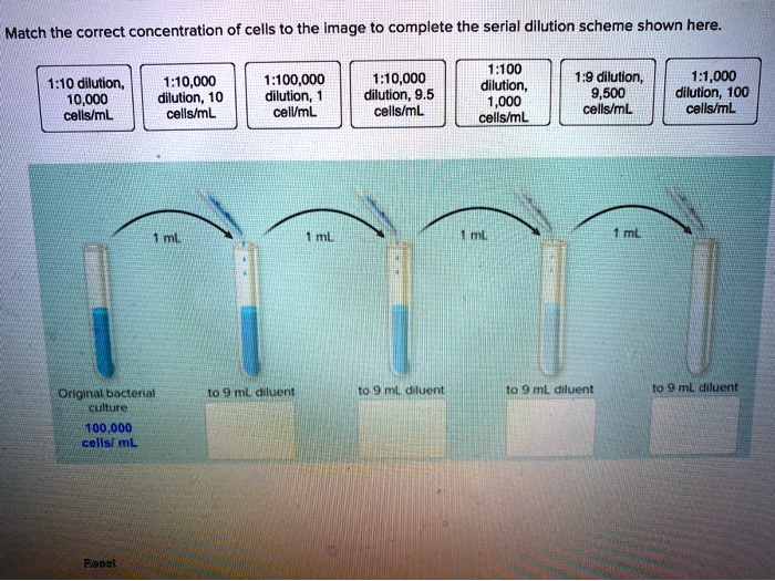 SOLVED: Text: Match the correct concentration of cells to the image to ...