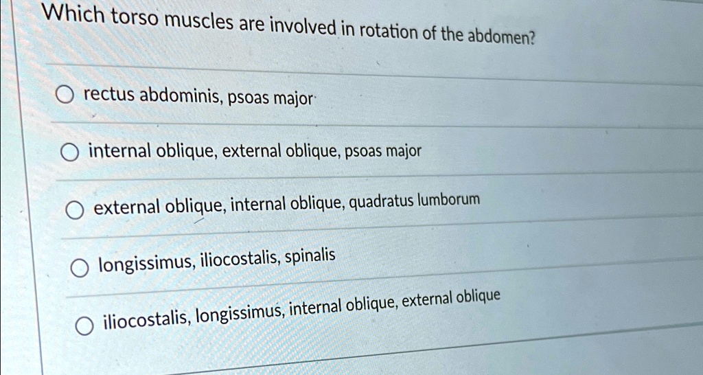 which torso muscles are involved in rotation of the abdomen rectus ...
