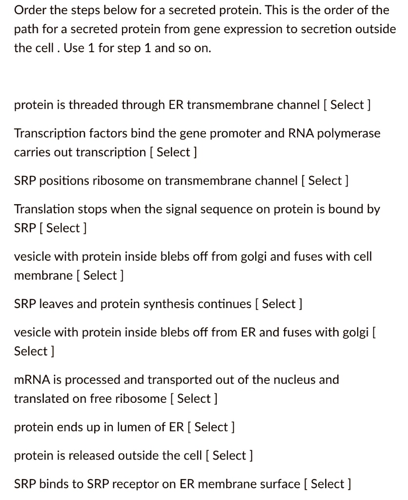 SOLVED: Order the steps below for a secreted protein. This is the order ...