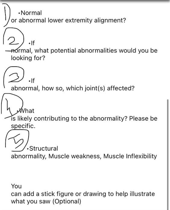 normal 0 or abnormal lower extremity alignment aormal what potential ...