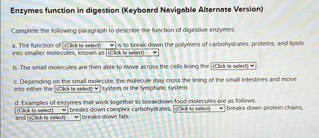 Enzymes function in digestion (Keyboard Navigable Alternate Version) Complete the following ...