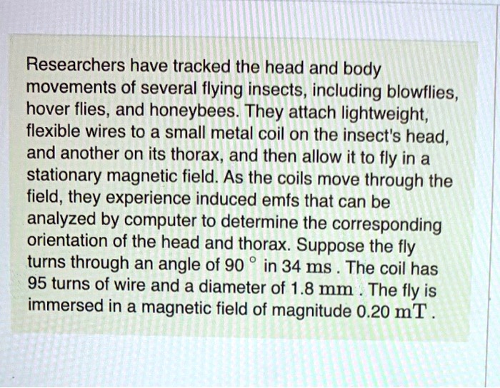 researchers have tracked the head and body movements of several flying ...