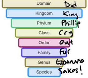 SOLVED: Isaac is studying relationships between organisms in the phylum ...