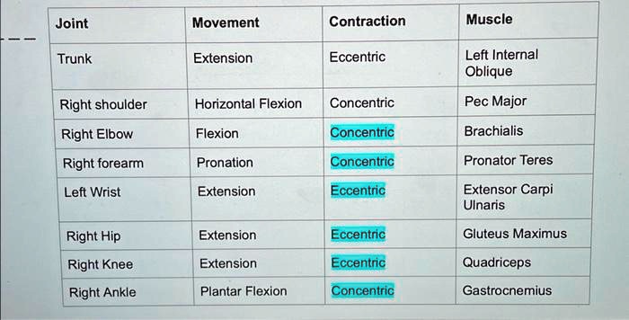 SOLVED: Joint Movement Muscle Contraction Trunk Extension Eccentric ...