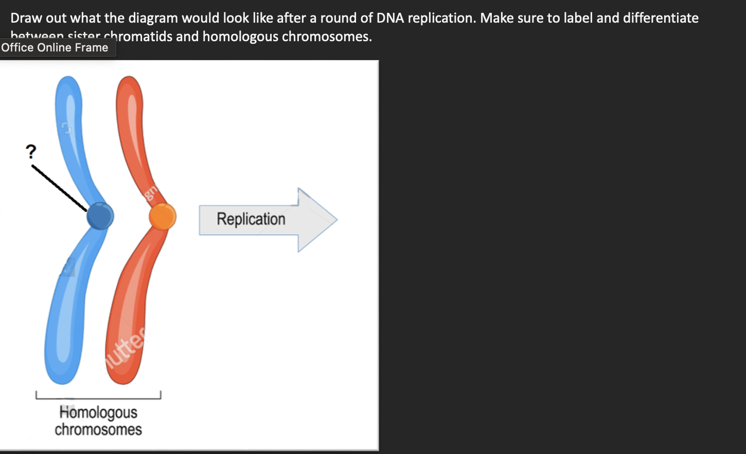 SOLVED: Draw out what the diagram would look like after a round of DNA ...