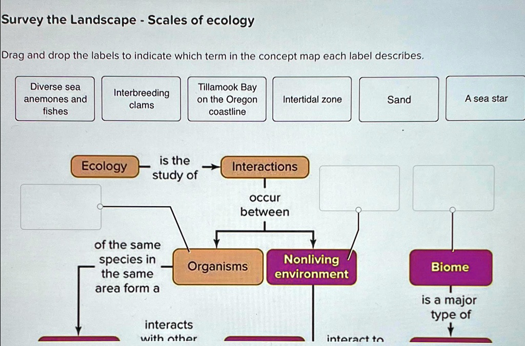 Survey the Landscape - Scales of ecology Drag and drop the labels to ...