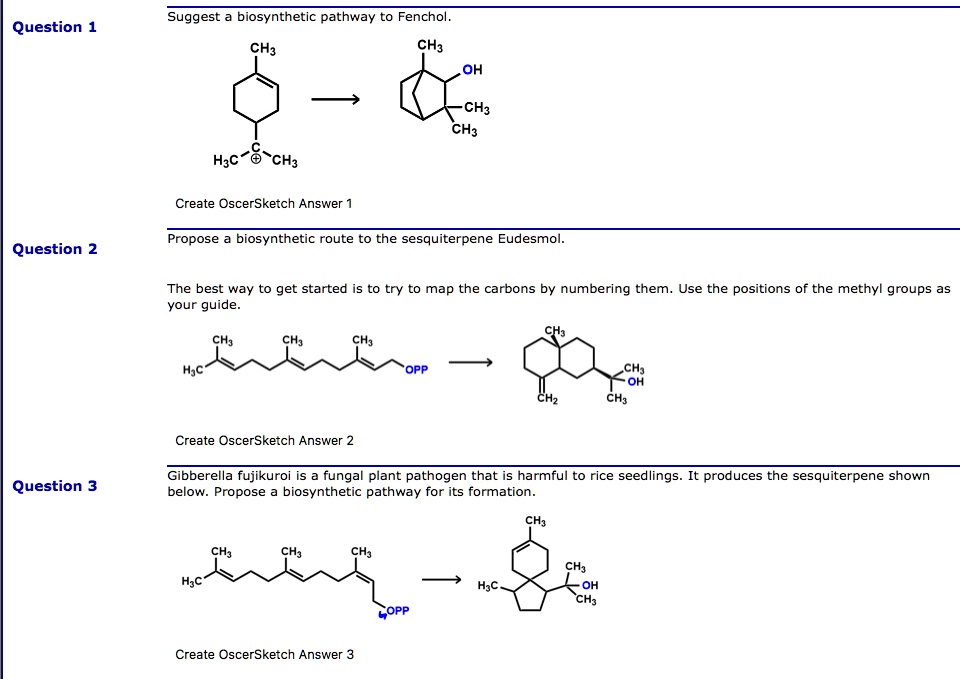 SOLVED: Suggest a biosynthetic pathway to Fenchol. Question 1: CH3 ...