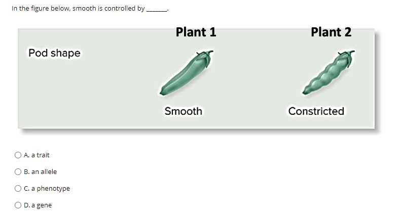 SOLVED: In the figure below, smooth is controlled by: Plant 1 Plant 2 ...