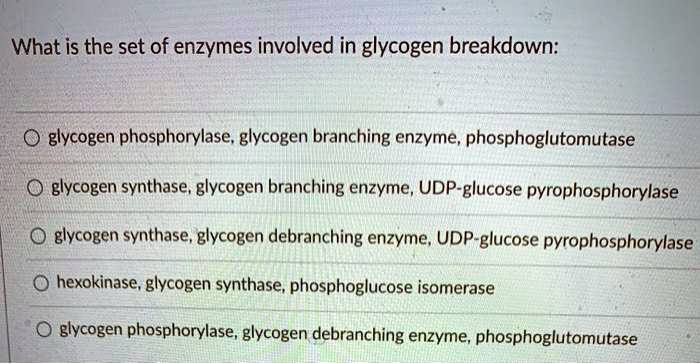 SOLVED:What is the set of enzymes involved in glycogen breakdown ...