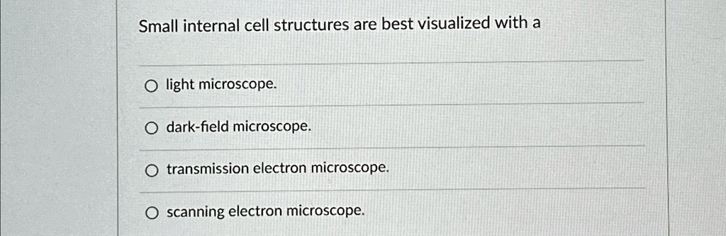 small internal cell structures are best visualized with a olight ...