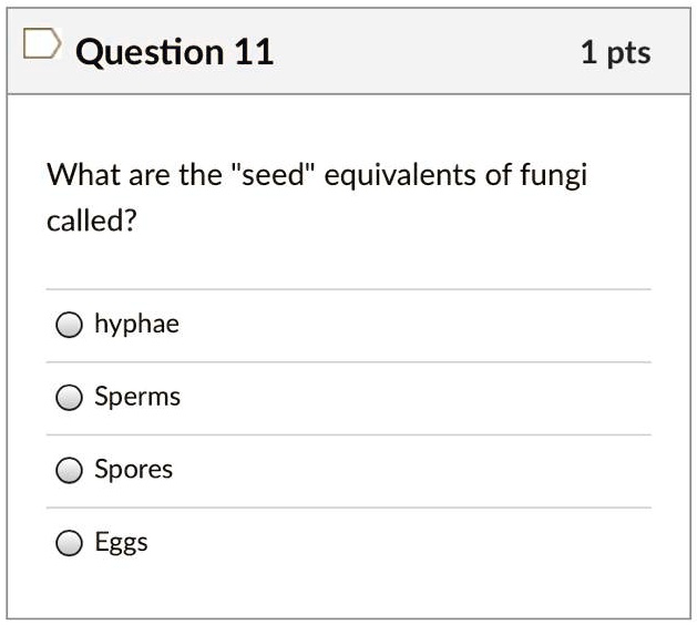 SOLVED: Question 11 1 pts What are the SOLVED: Question 11 1 pts What are the