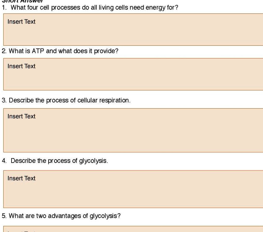 1. What four cell processes do all living cells need energy for? Insert ...