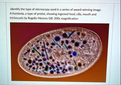 Identify the type of microscopy used in a series of award...