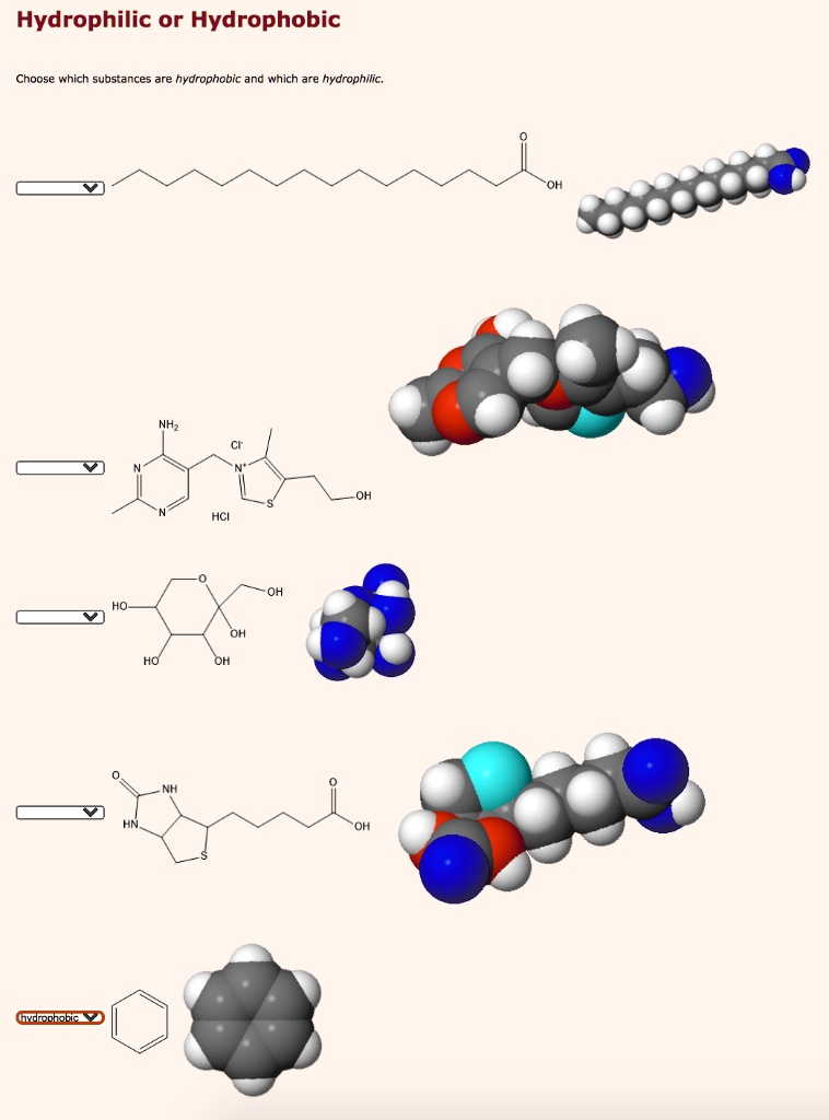 SOLVED: Hydrophilic or Hydrophobic Choose which substances are ...