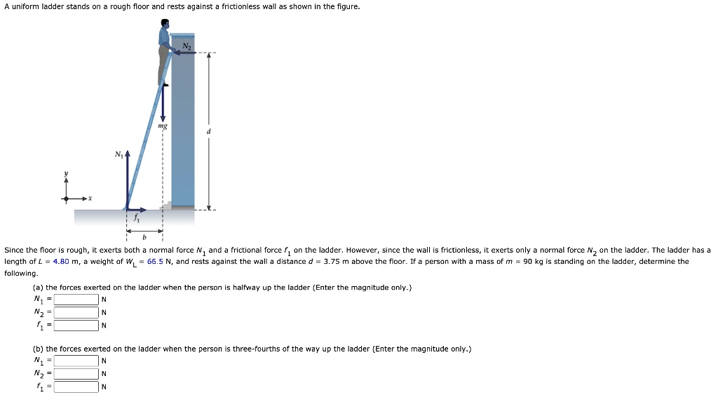 SOLVED: Text: A uniform ladder stands on rough floor and rests against a frictionless wall, as ...