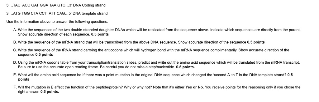 tac acc gat gga taa gtc dna coding strand 3 atg tgg cta cct att cag 5 dna template strand use ...