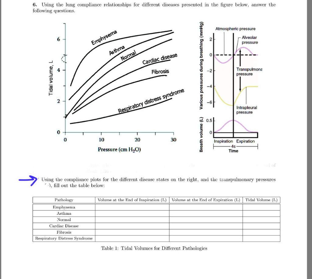 6. Using the lung compliance relationships for different diseases ...