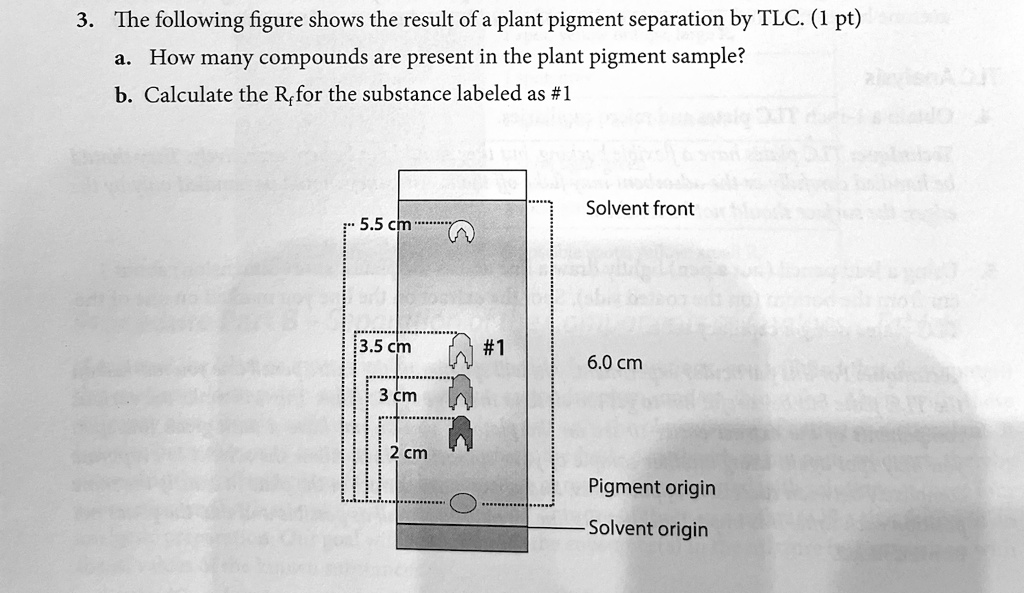 3 the following figure shows the result ofa plant pigment separation by ...