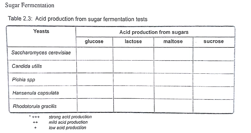 sugar ferinentation table 23 acid production from sugar fermentation ...