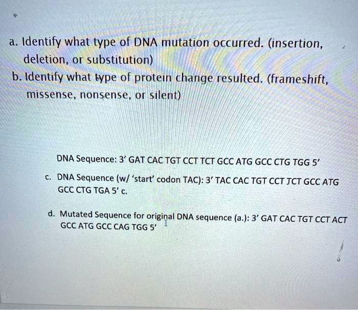 identify what type of dna mutation occurred insertion deletion or ...