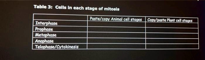 Table 3: Cells in each stage of mitosis Paste/copy Animal...