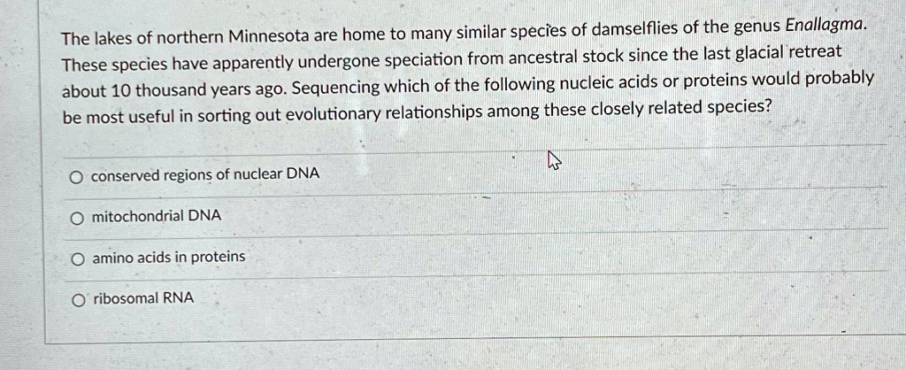 SOLVED: The lakes of northern Minnesota are home to many similar ...