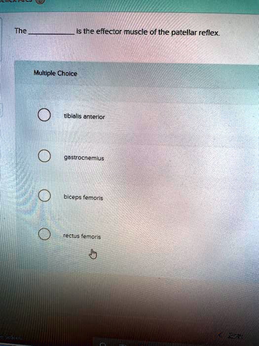 SOLVED: The tibialis anterior is the effector muscle of the patellar ...