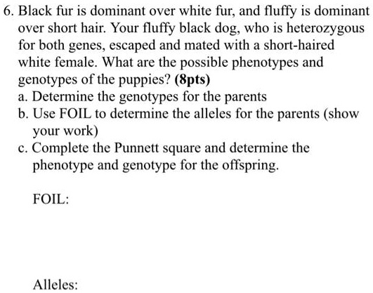 6. Black fur is dominant over white fur, and fluffy is...