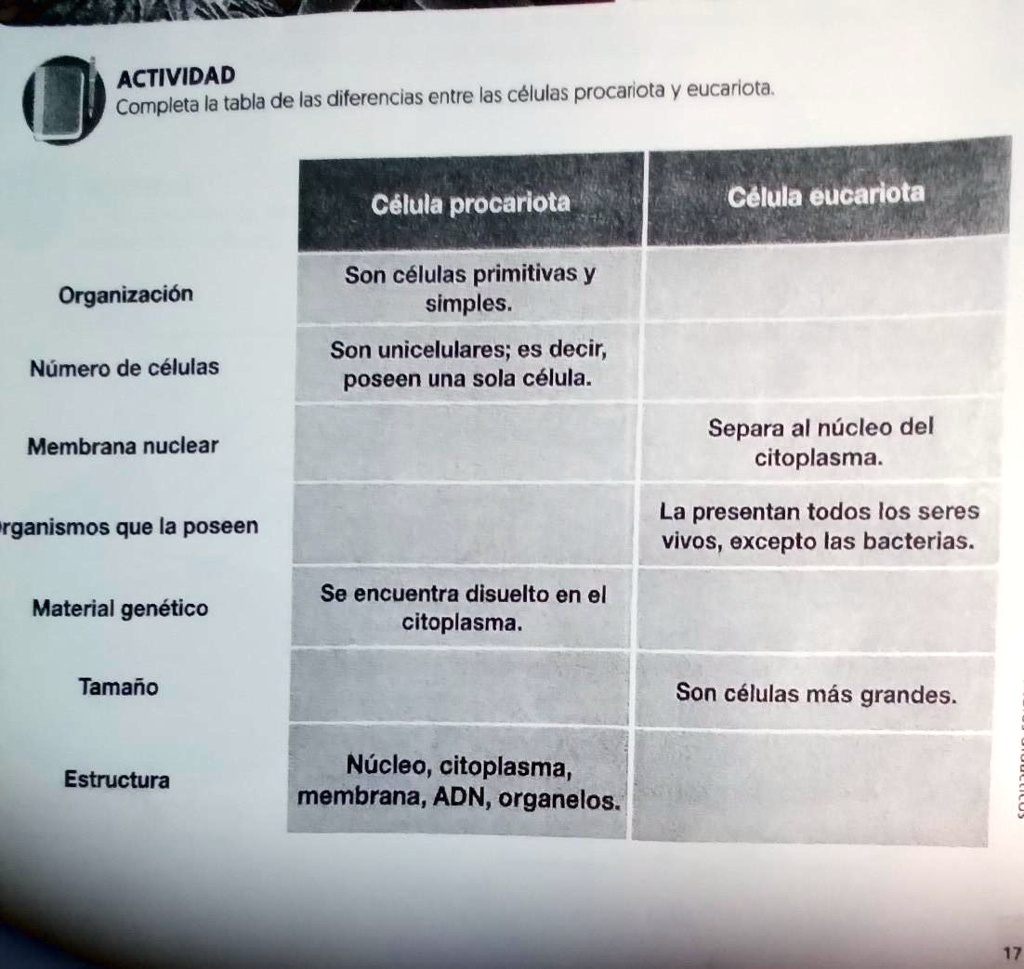 SOLVED: Ayúdeme con la imagen doy coronita ACTIVIDAD Completa la tabla ...