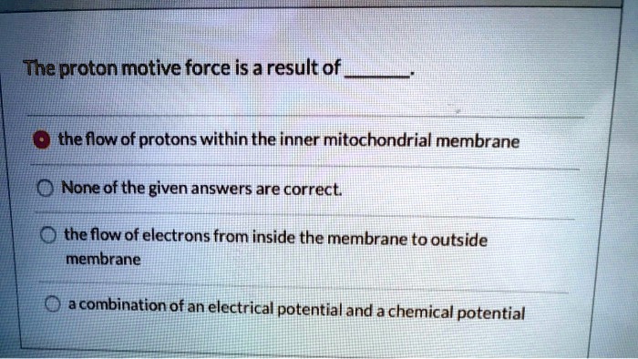 SOLVED:The proton motive force is a result of Ithe flow of protons ...