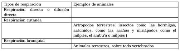 SOLVED: Completa el siguiente cuadro Tipos de respiracion Respiracion ...