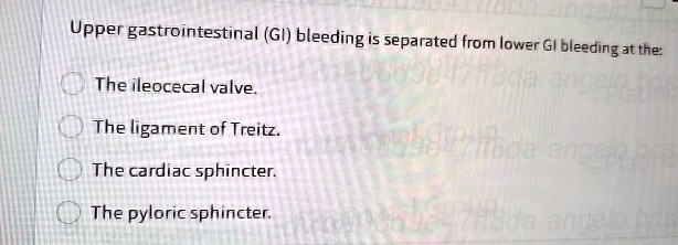 Upper gastrointestinal (GI) bleeding is separated from lower GI ...