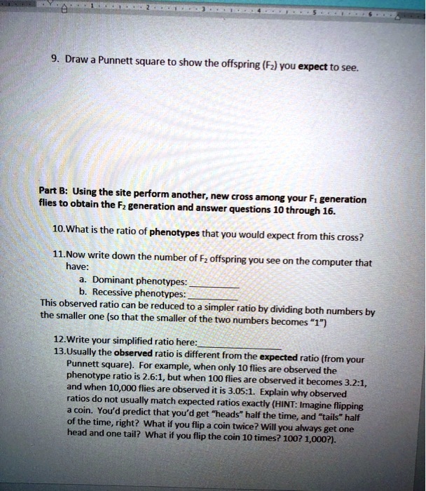 SOLVED: Draw Punnett square to show the offspring (Fz) you expect to see Part B: Using the site ...