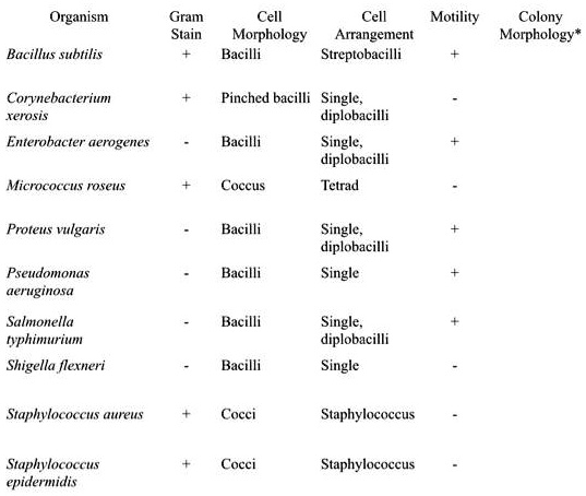 SOLVED:Organism Gram Cell Cell Motility Stain Morphology Arrangement ...