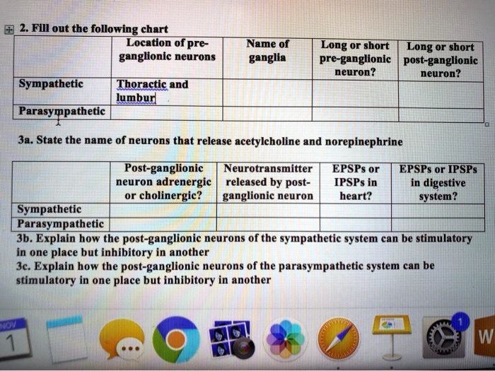 2. Fill out the following chart Location of pre- ganglionic neurons ...
