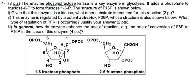 VIDEO solution: The enzyme phosphofructose kinase is a key enzyme in ...