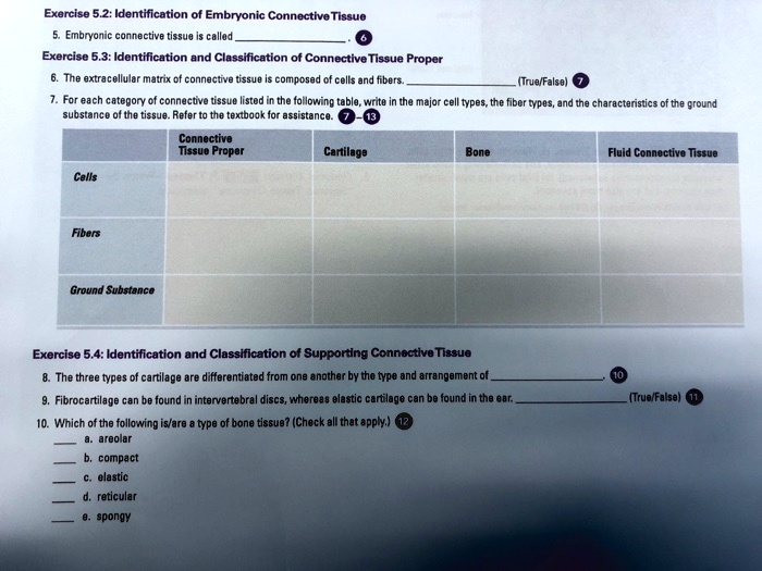 SOLVED: Exercise 5.2:Identification of Embryonic Connective Tissue 5 ... SOLVED: Exercise 5.2:Identification of Embryonic Connective Tissue 5 ...