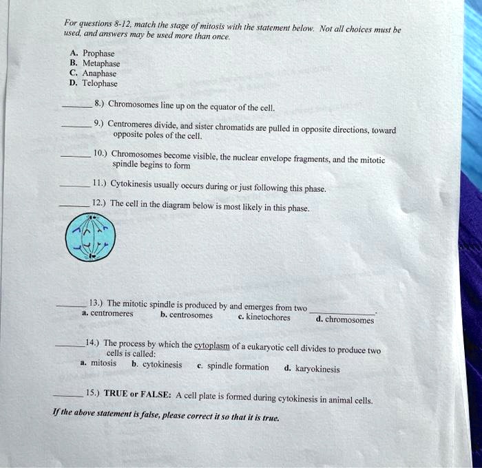SOLVED: For questions 8-12, match the stage of mitosis with the ...