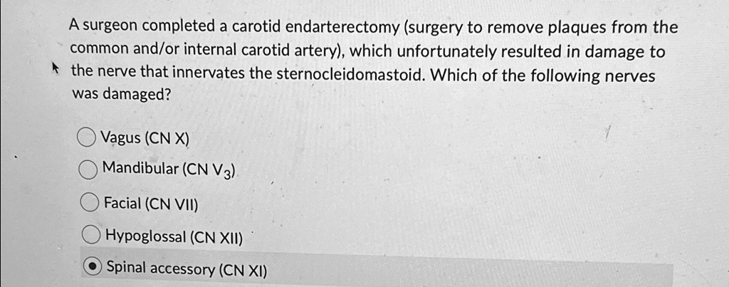 a surgeon completed a carotid endarterectomy surgery to remove plaques ...