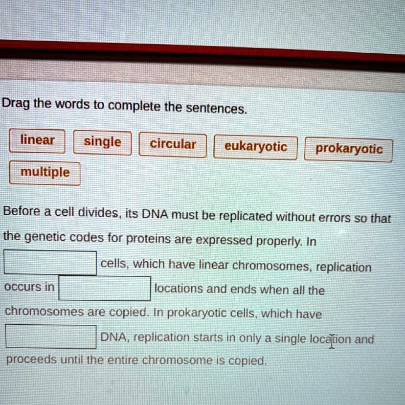 SOLVED: 'Please help me, it’s due tomorrow Drag the words to complete ...