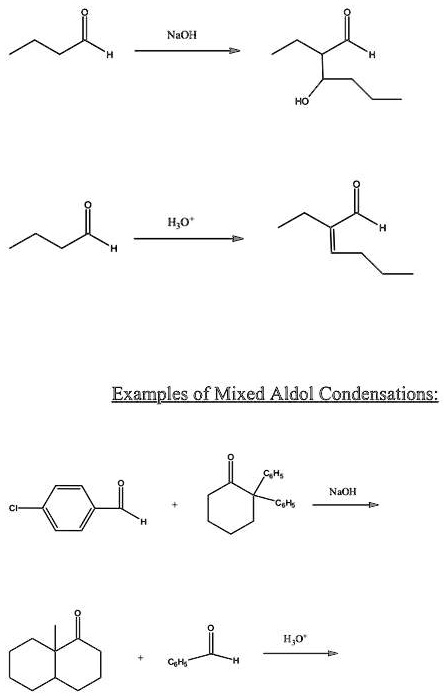 SOLVED: Texts: Provide a mechanism for each reaction. HOAN H2O Examples ... SOLVED: Texts: Provide a mechanism for each reaction. HOAN H2O Examples ...