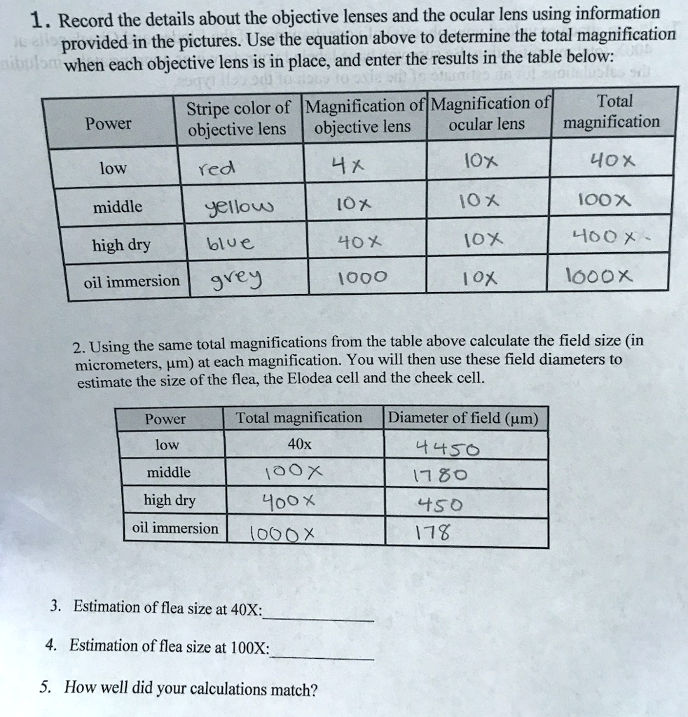 Solved Record The Details About The Objective Lenses And The Ocular Lens Using Information