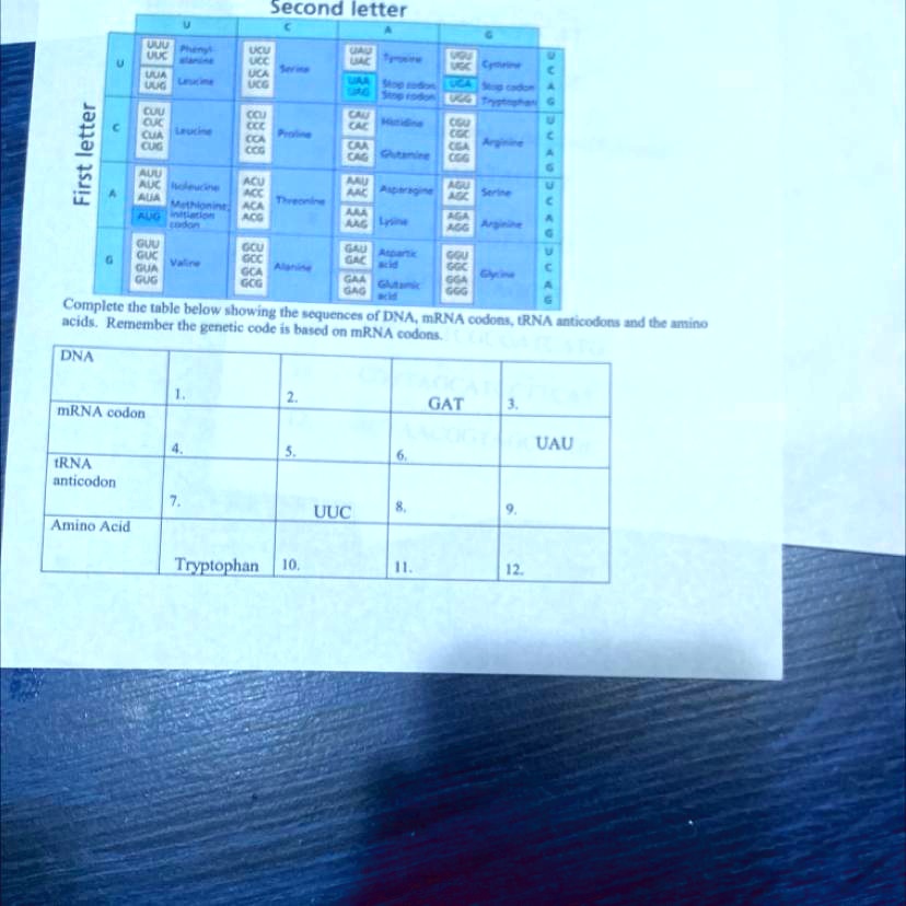 SOLVED: Complete the table below showing the sequences of DNA, mRNA codons, tRNA anticodons, and ...