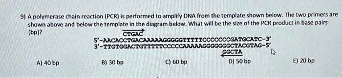 SOLVED: 9) A polymerase chain reaction (PCR) is performed to amplify ...