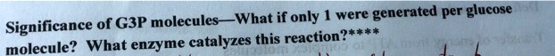 SOLVED: What if only were generated per glucose Significance of G3P ...