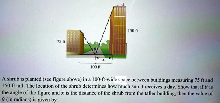75 ft 150 ft 100 ft A shrub is planted (see figure above) in a 100-ft ...