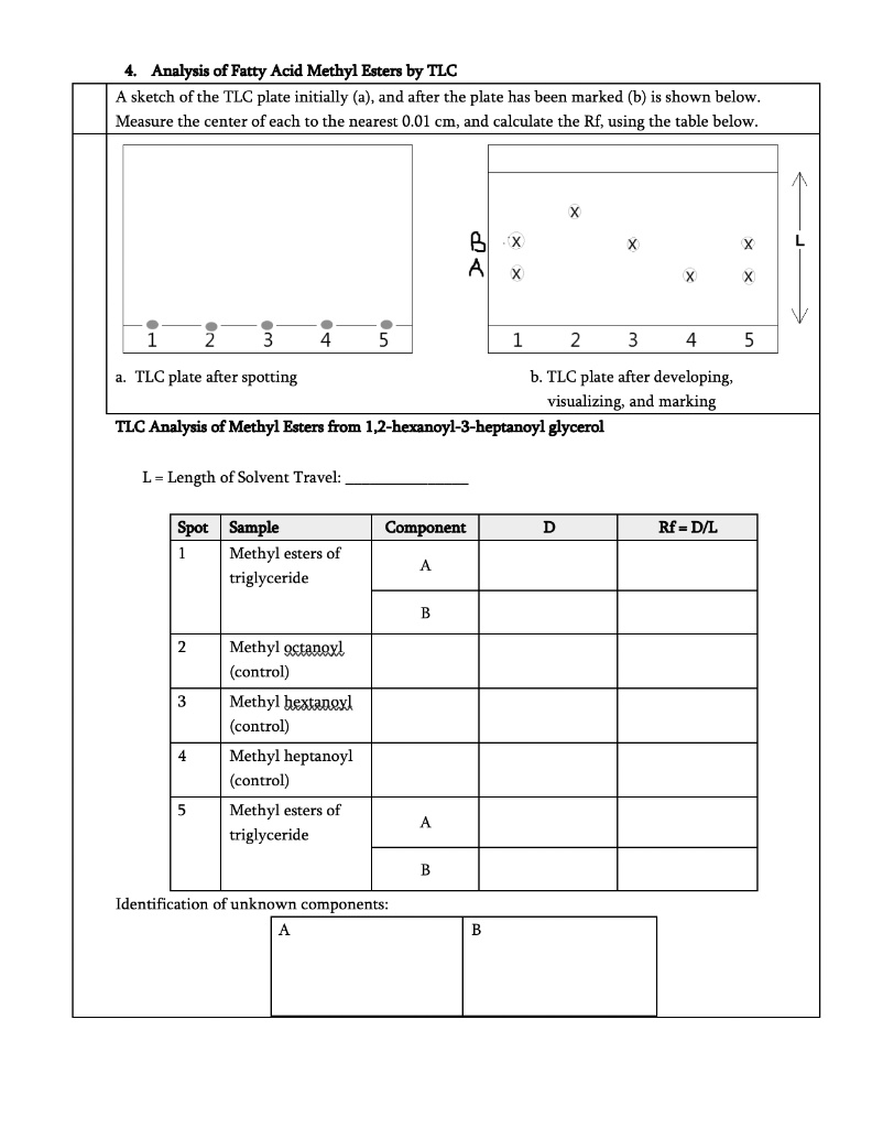 SOLVED: Analysis of Fatty Acid Methyl Ester by TLC A sketch of the TLC ...