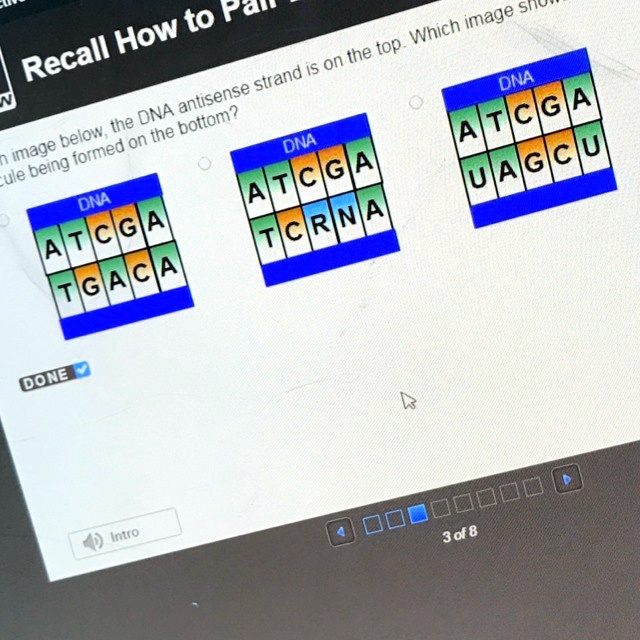 In each image below, the DNA antisense strand is on the top. Which ...